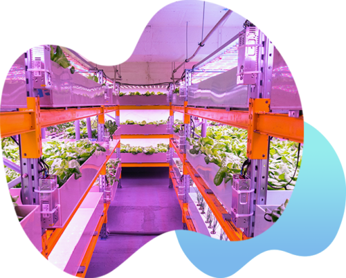 Plant Factory - EECi